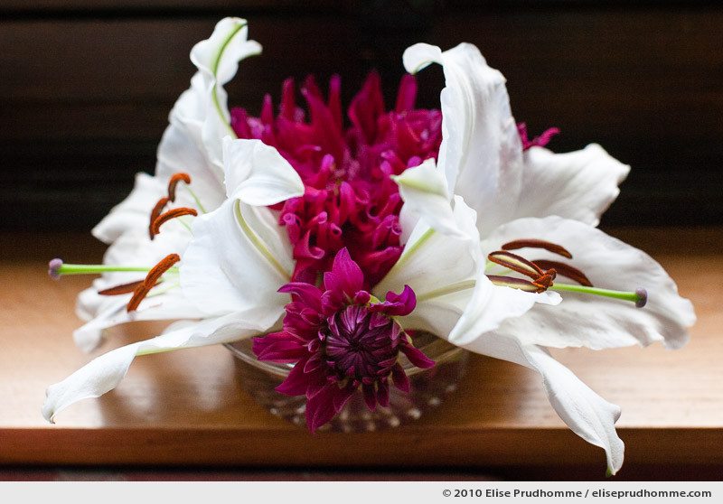 Normandy Flowers | Best Flower Site